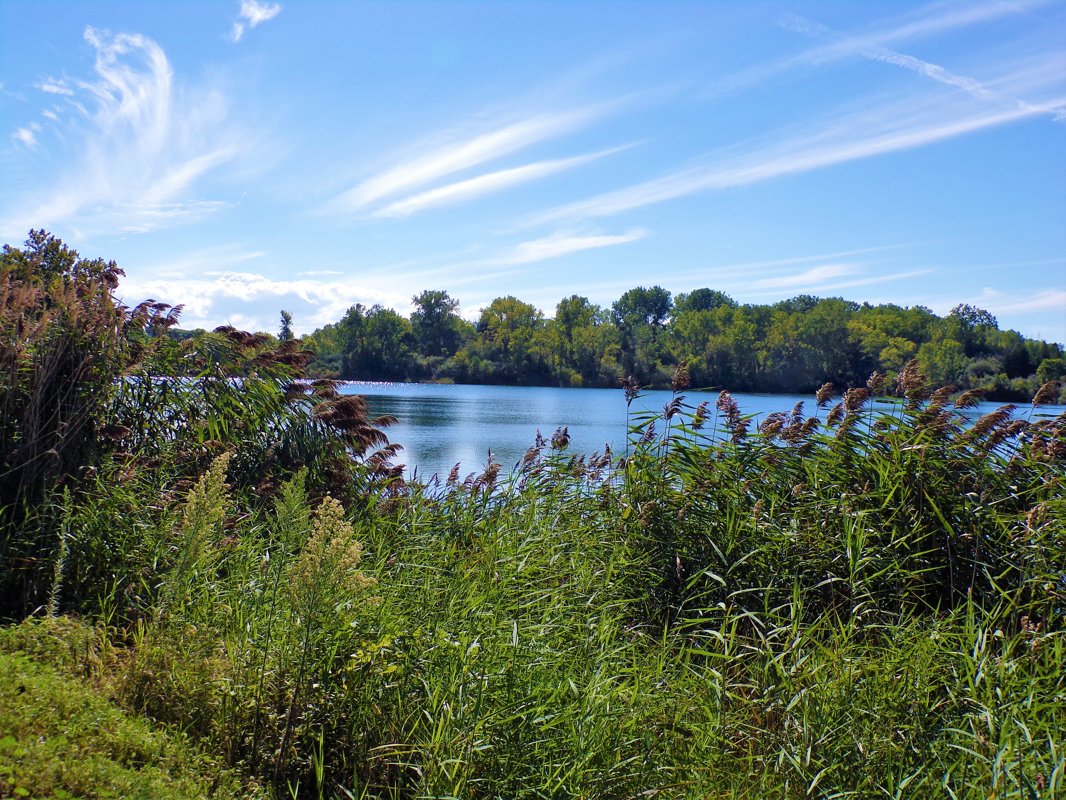 Marblehead Ohio - Home